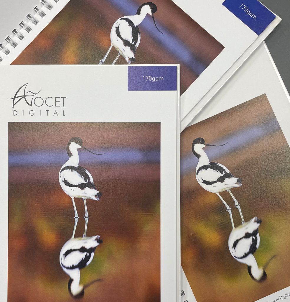 Avocet Digital - GPMI